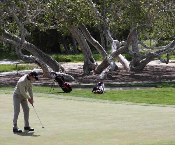 Wine Country Golf Championship - eLivermore.com
